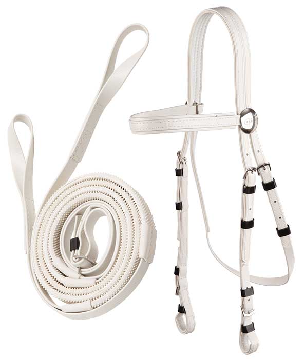 Zilco International Pty Ltd | SS Race Bridle & Loop Reins (White Trim)