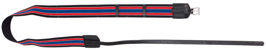 Zilco International Pty Ltd | 50mm Elastic Surcingle Red/Blue