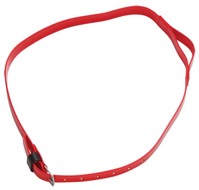 Zilco International Pty Ltd | 25mm Neck Strap - Red