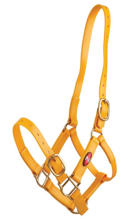 Zilco International Pty Ltd | Zilco 25mm PN Headstall - Cob Yellow