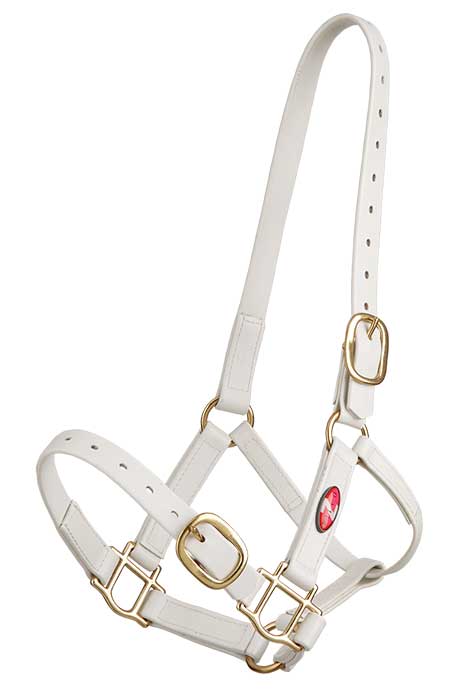 Zilco International Pty Ltd | Zilco 25mm PN Headstall - Cob White