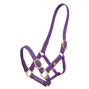 Zilco International Pty Ltd | Zilco 25mm PN Headstall - Cob Purple